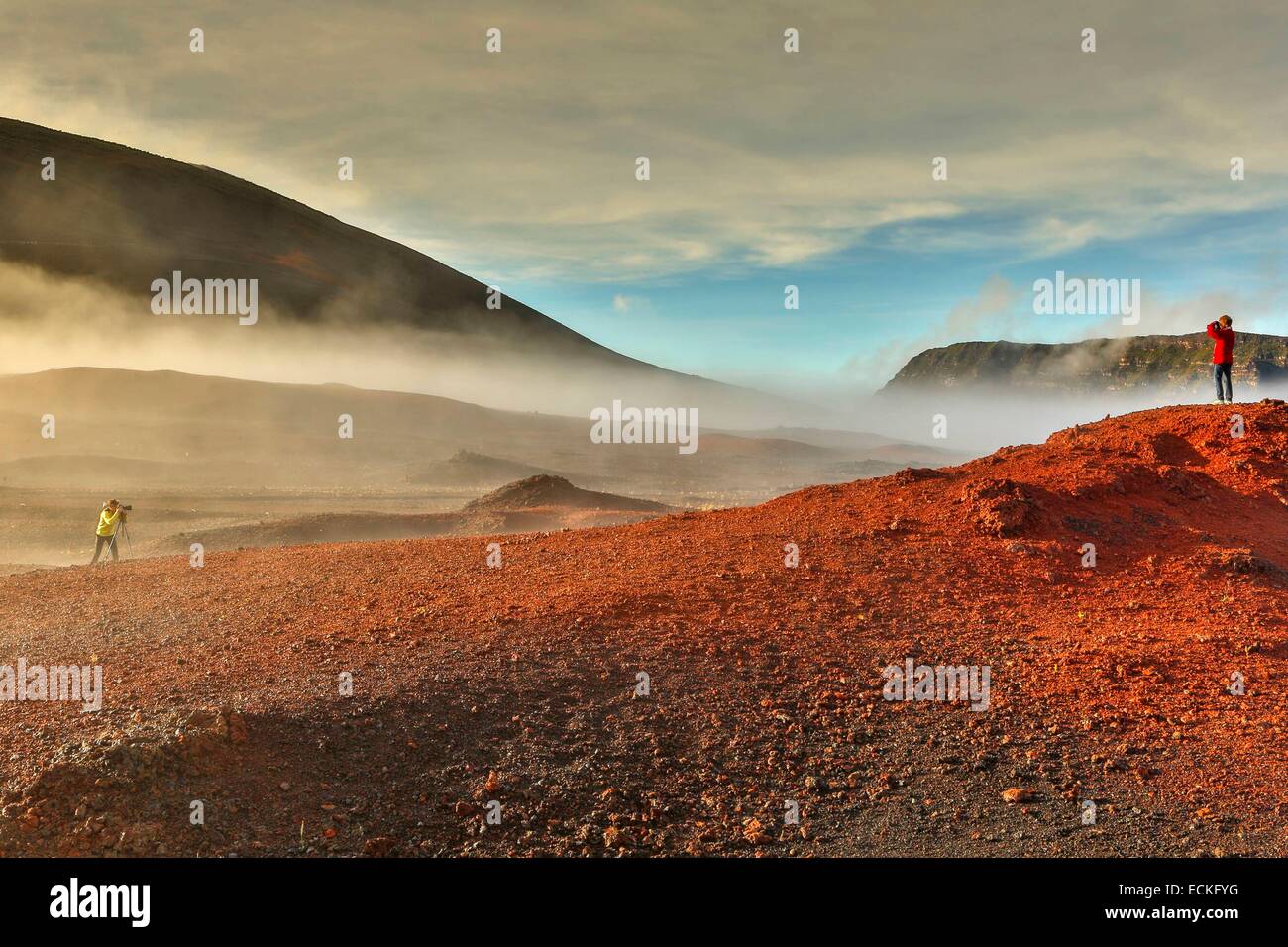 France, Reunion island, Parc National de La Reunion (Reunion National ...