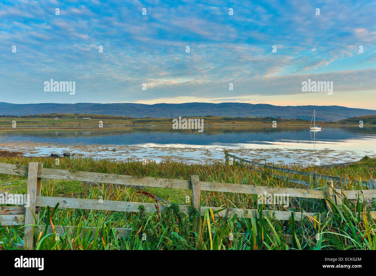 Sween hi-res stock photography and images - Alamy