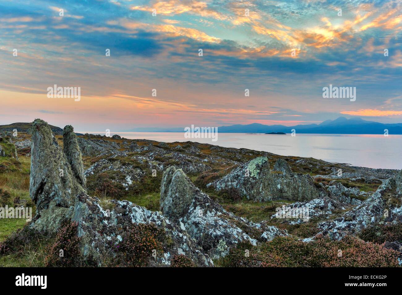 Sween hi-res stock photography and images - Alamy