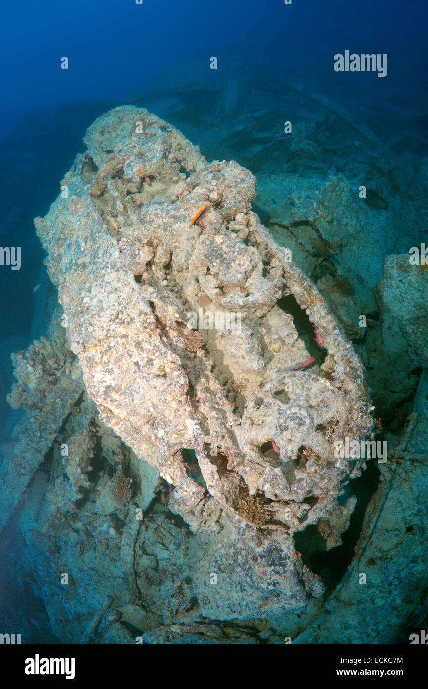 inverted tank on the shipwreck SS Thistlegorm (British armed Merchant ...