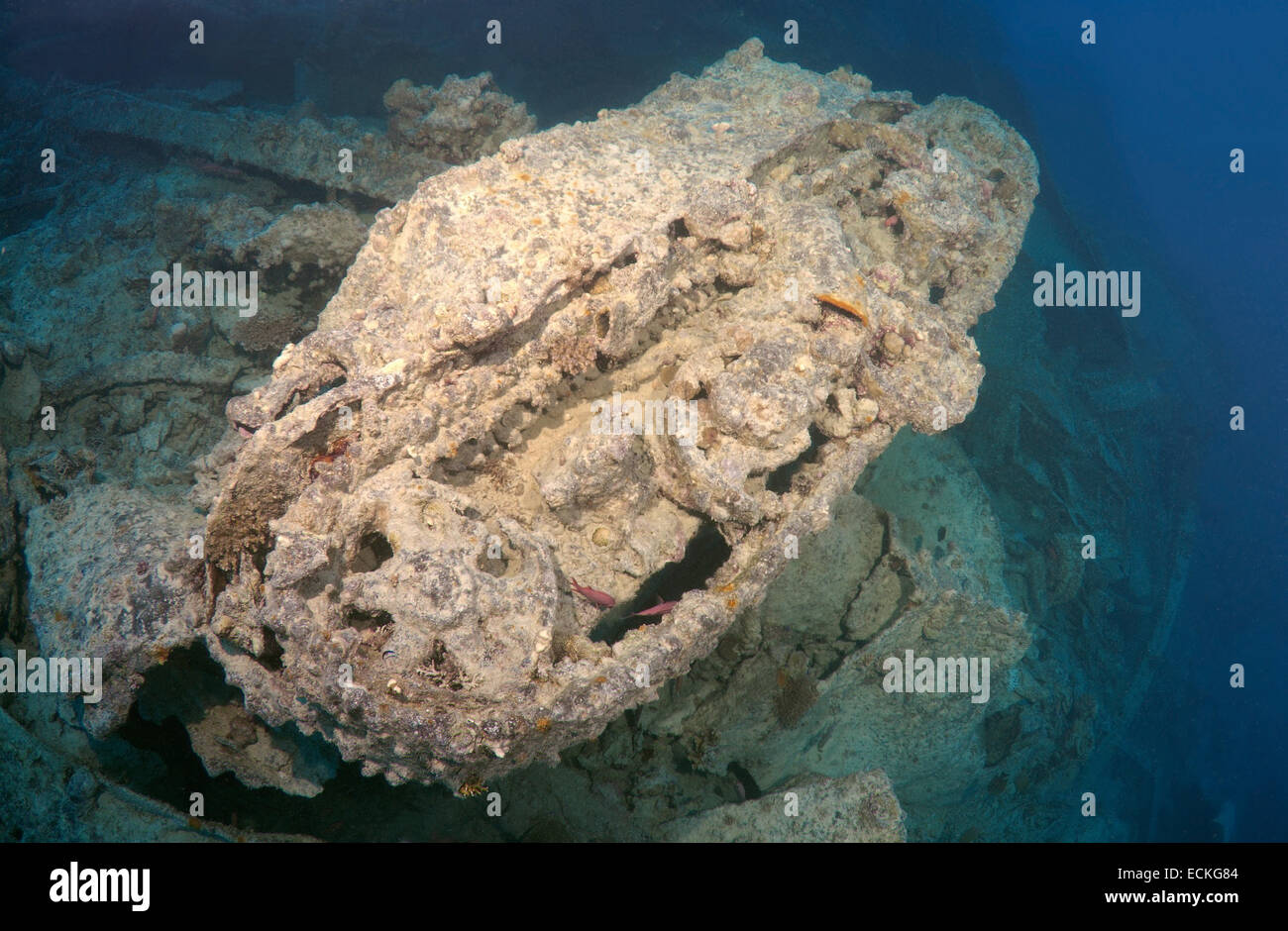 inverted tank on the shipwreck SS Thistlegorm (British armed Merchant ...