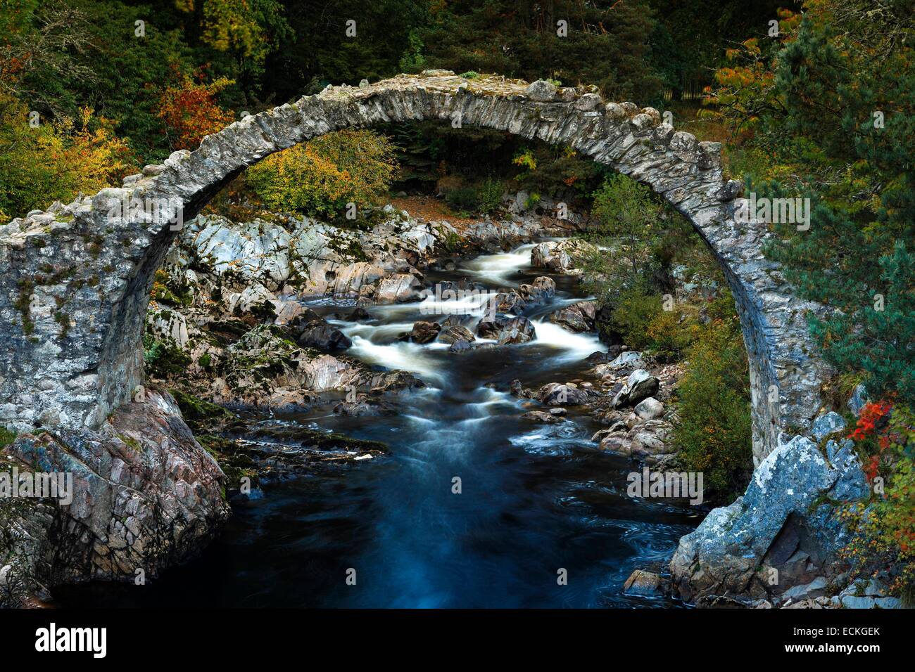 United Kingdom, Scotland, Cairngorms National Park, Carrbridge, bridge ...