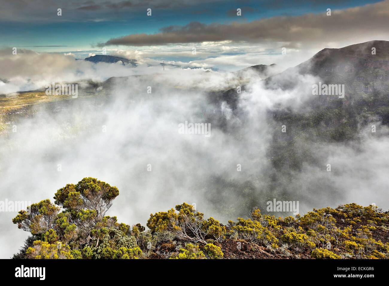 France, Reunion Island, Parc National de la Reunion (Reunion National ...