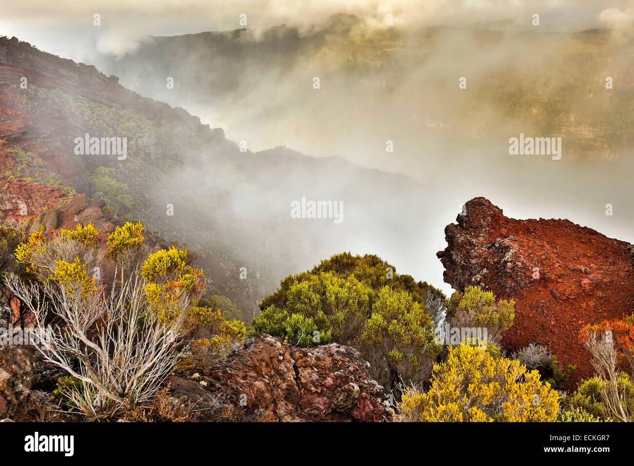 France, Reunion Island, Parc National de la Reunion (Reunion National ...