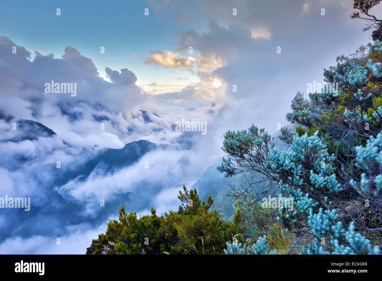 France, Reunion Island, Parc National de la Reunion (Reunion National ...