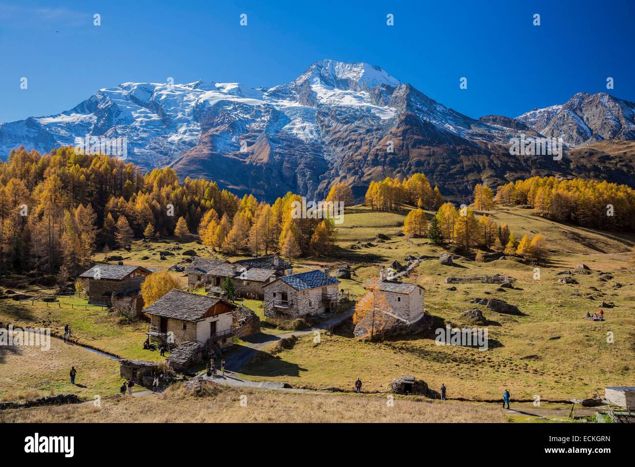 France, Savoie, Haute Tarentaise, Le Monal hamlet (1874m) dominated by ...