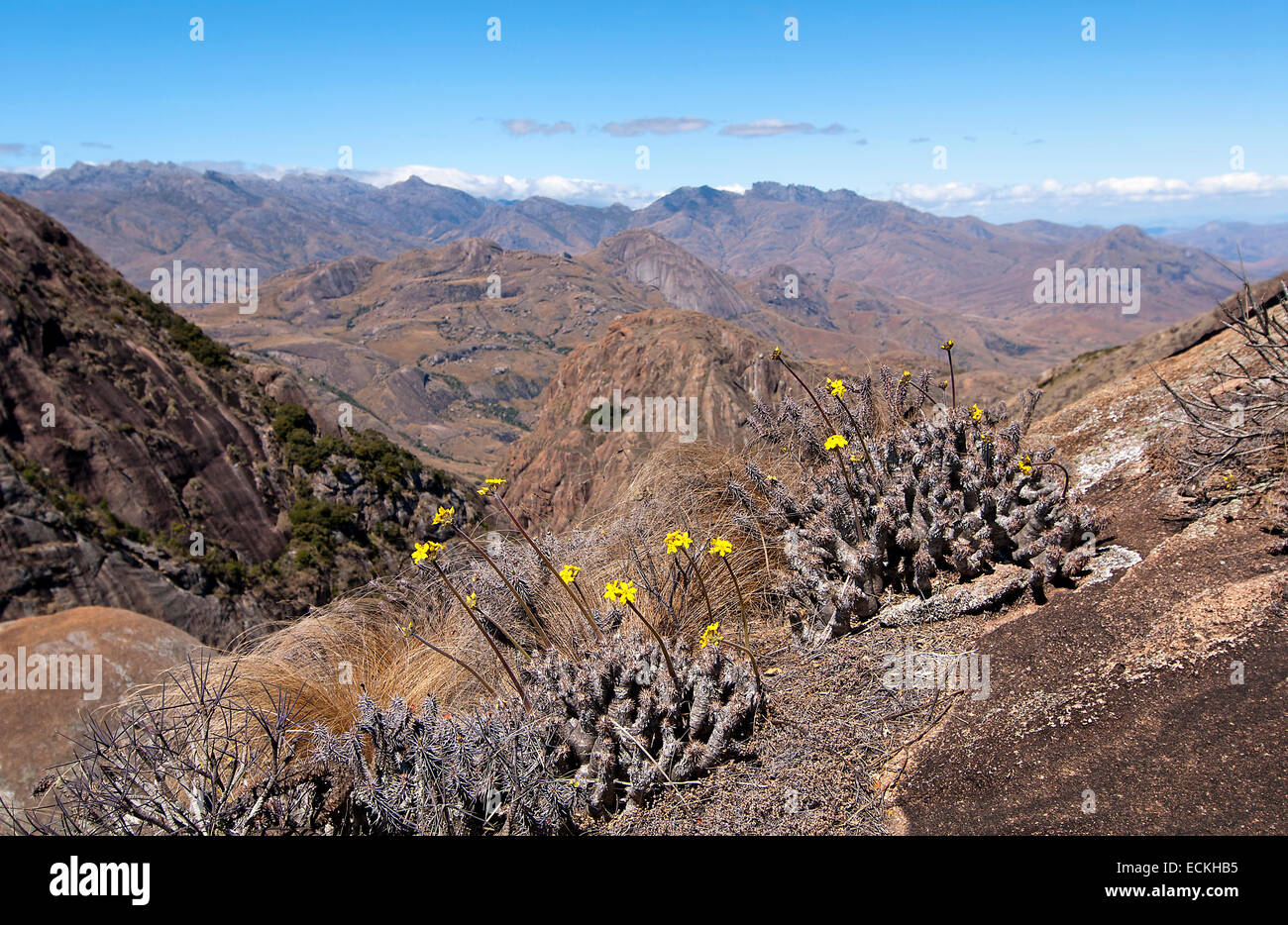 The Central Highland region of Madagascar Stock Photo - Alamy
