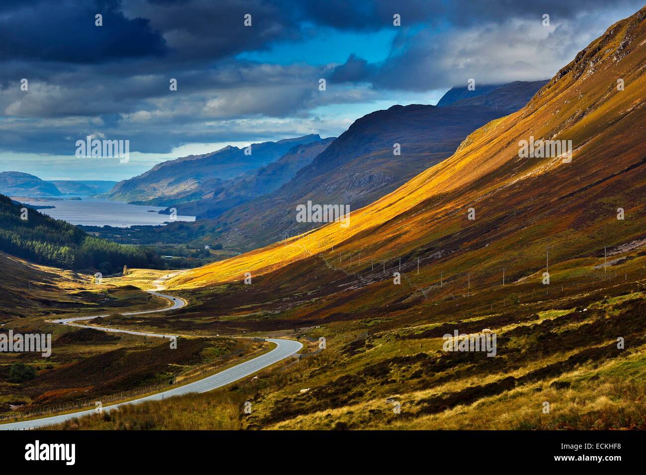 United Kingdom, Scotland, Wester Ross, Glen Docherty, natural ...