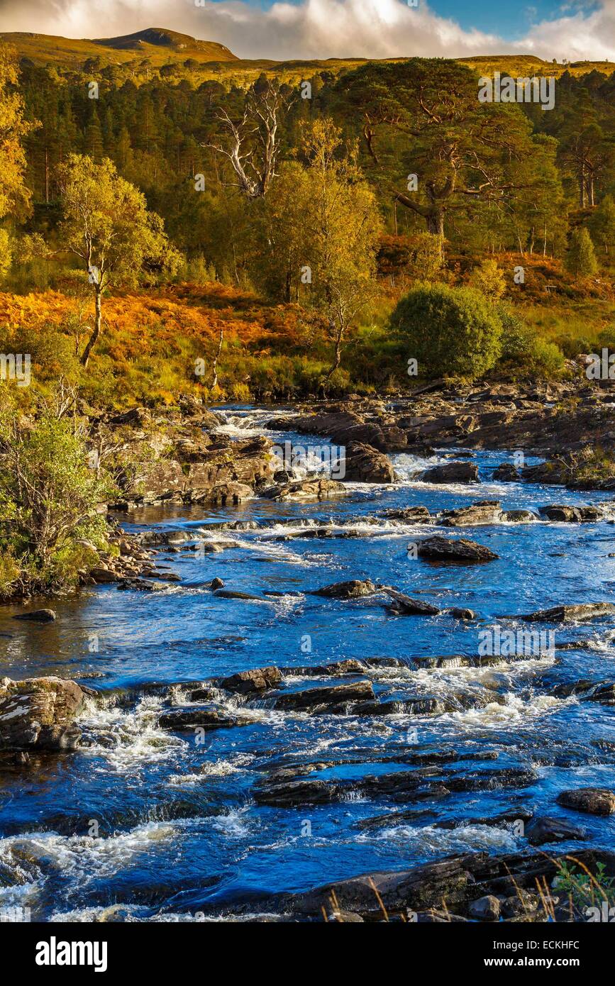 United Kingdom, Scotland, Wester Ross, Glen Torridon, salmon river ...