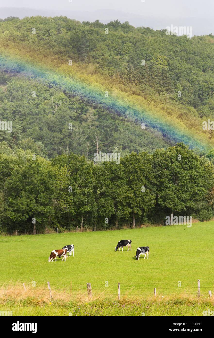 Rainbow dome hi-res stock photography and images - Alamy