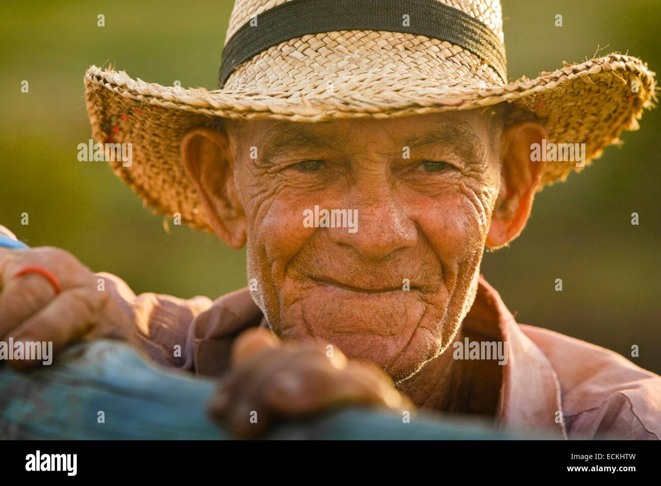 Mauritius, Rodrigues Island, La Ferme, Cascade Pistache, horizontal ...