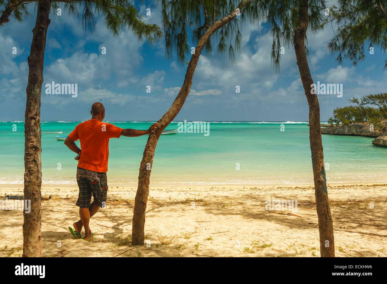 Mauritius, Rodrigues Island, Pointe Coton, creole man under a casuarina ...