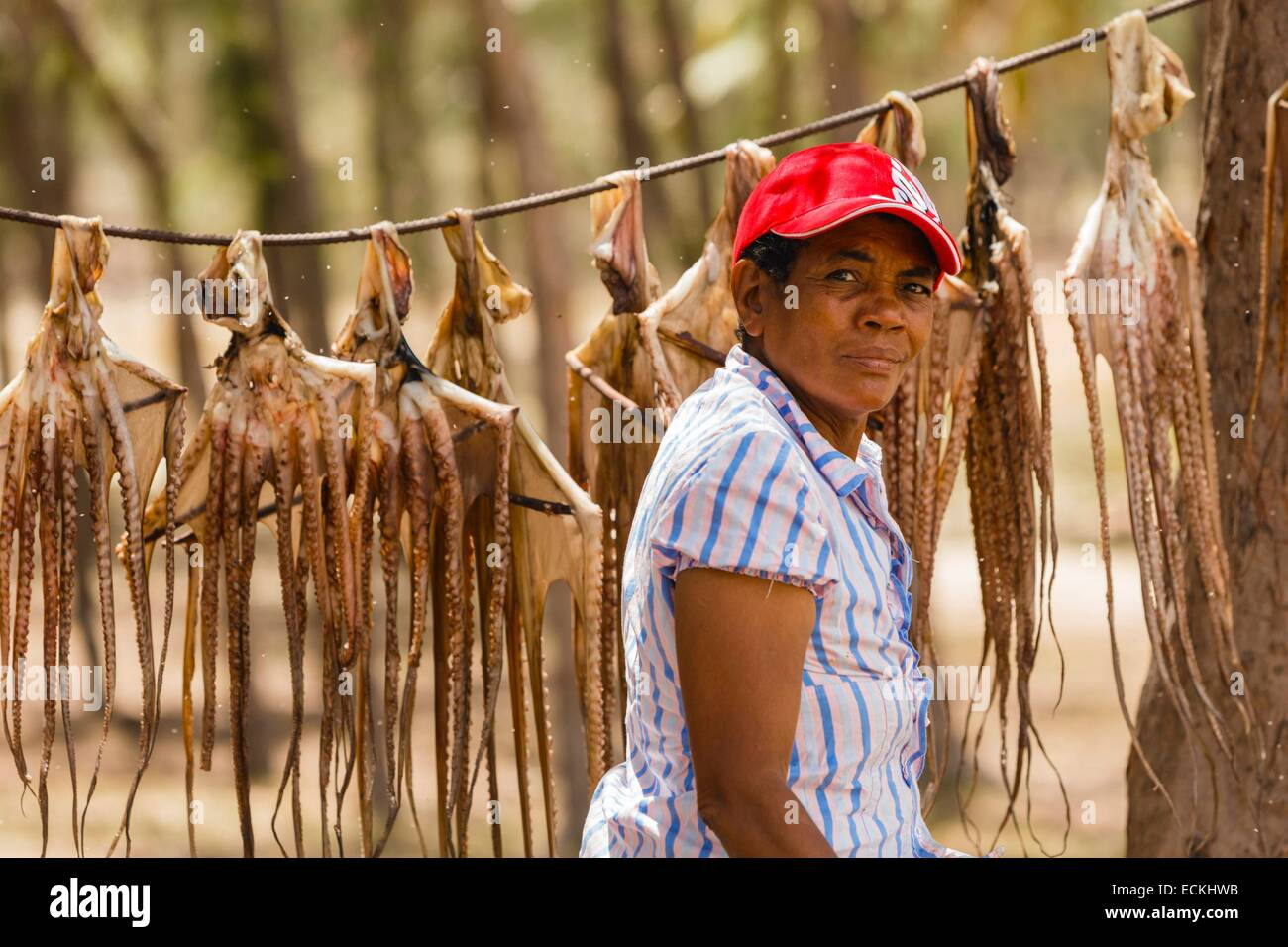 Mauritius, Rodrigues Island, Pointe Coton, retail seafood, horizontal ...
