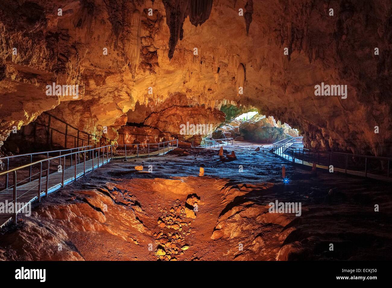 Mauritius Nature Reserve Stock Photos & Mauritius Nature Reserve Stock ...