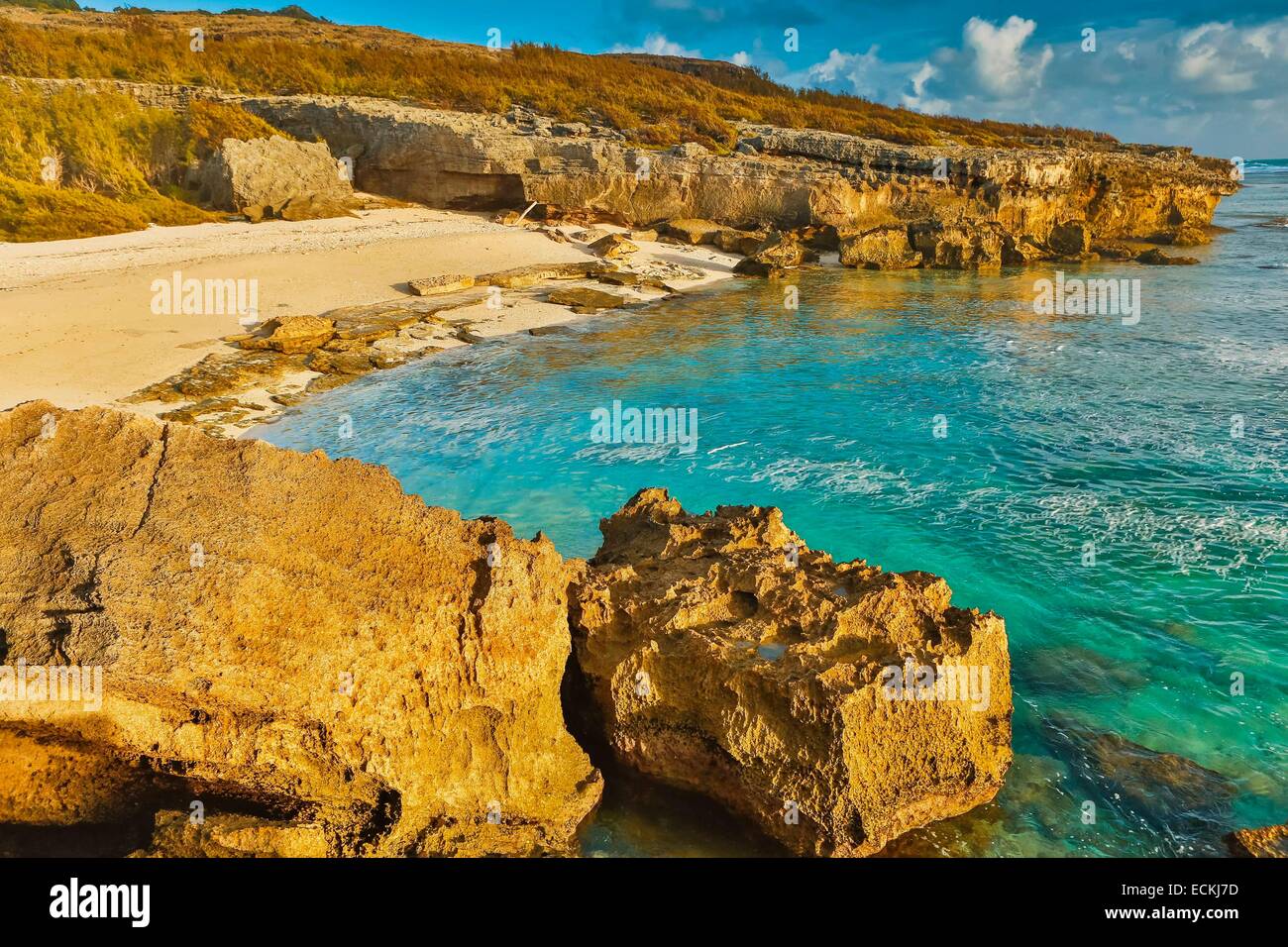 Rodrigues mauritius hi-res stock photography and images - Alamy