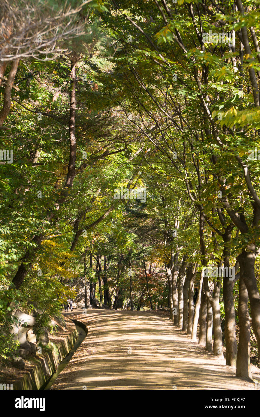 path way with autumn colors in Mungyeongsaejae in Korea Stock Photo - Alamy