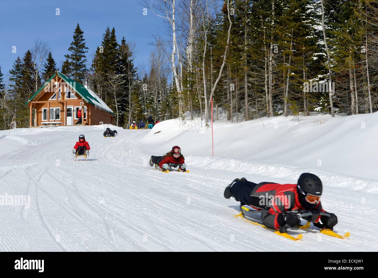 Luge sled hi-res stock photography and images - Alamy