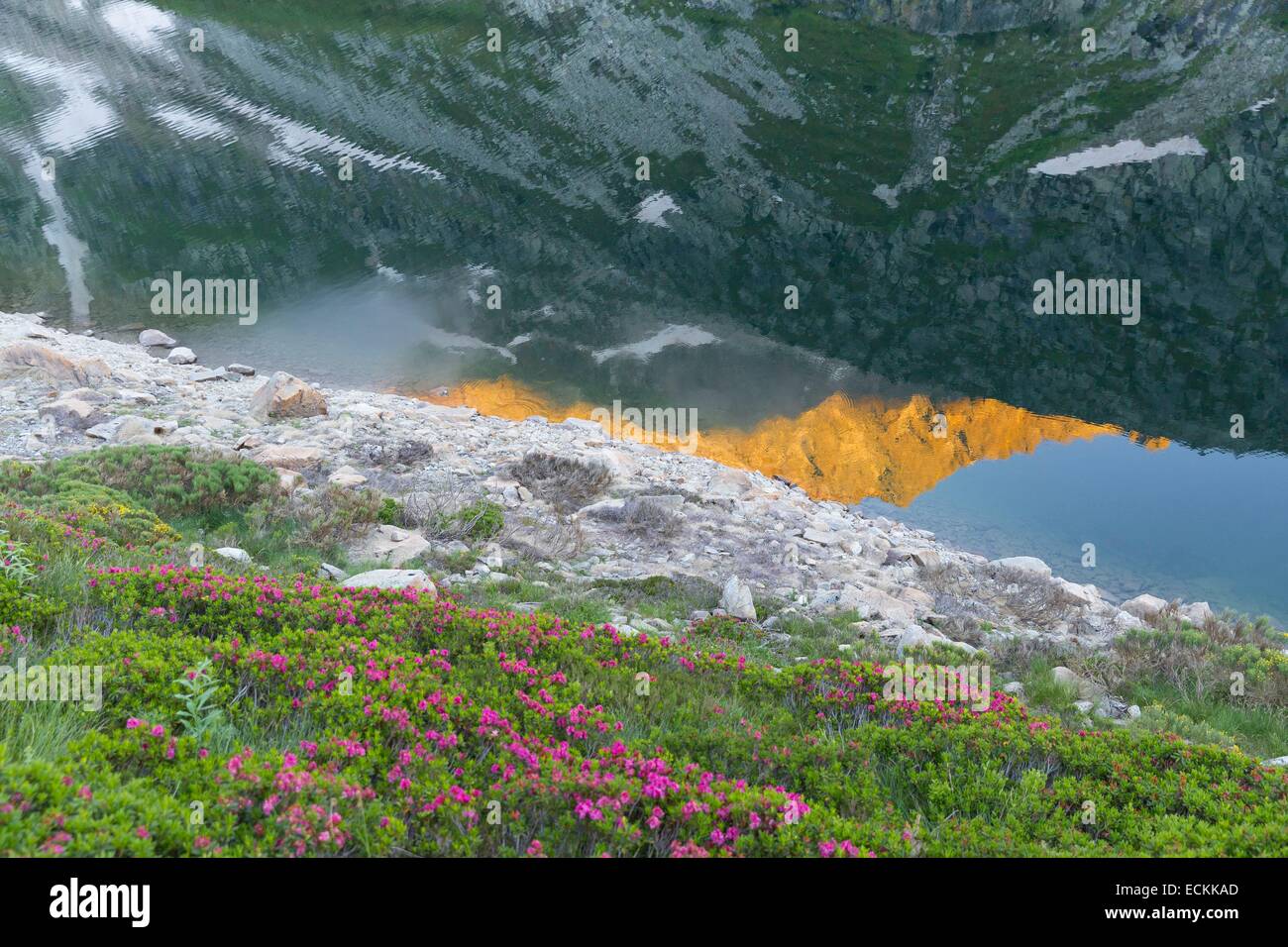 Orlu national reserve hi-res stock photography and images - Alamy