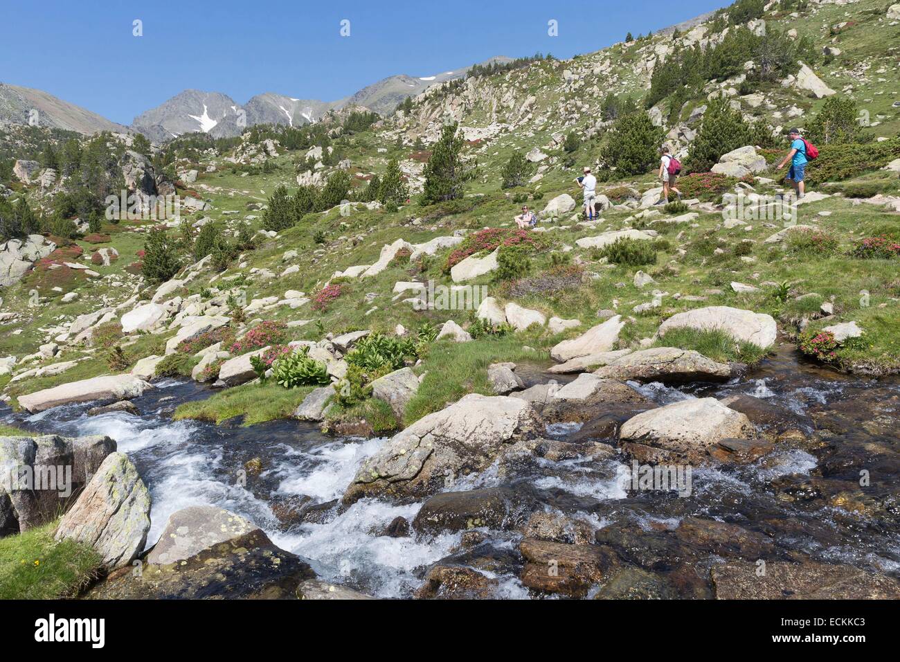 France, Pyrenees Orientales, Les Angles, hikers on the GR 10 path in ...