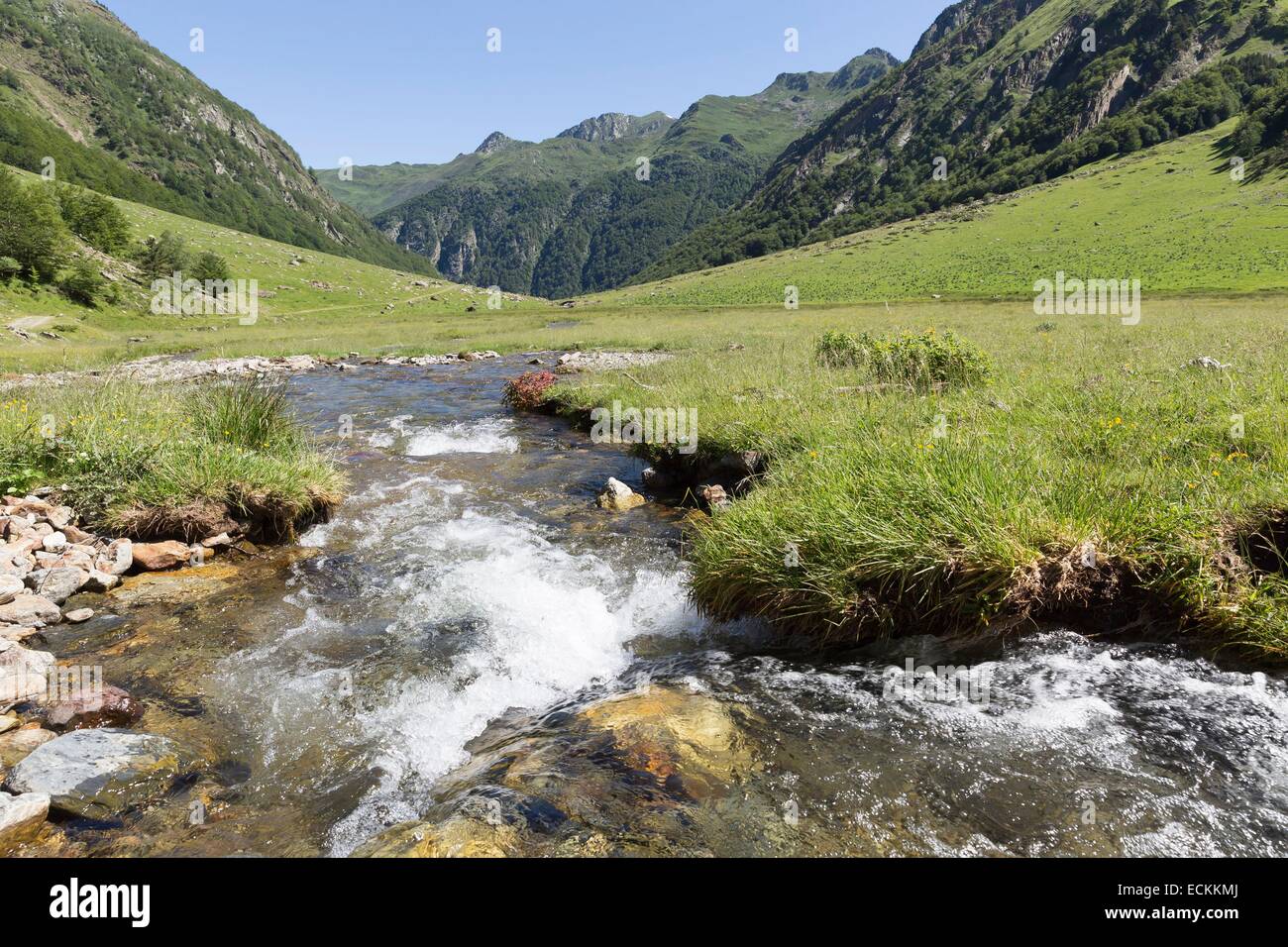 Orlu national reserve hi-res stock photography and images - Alamy