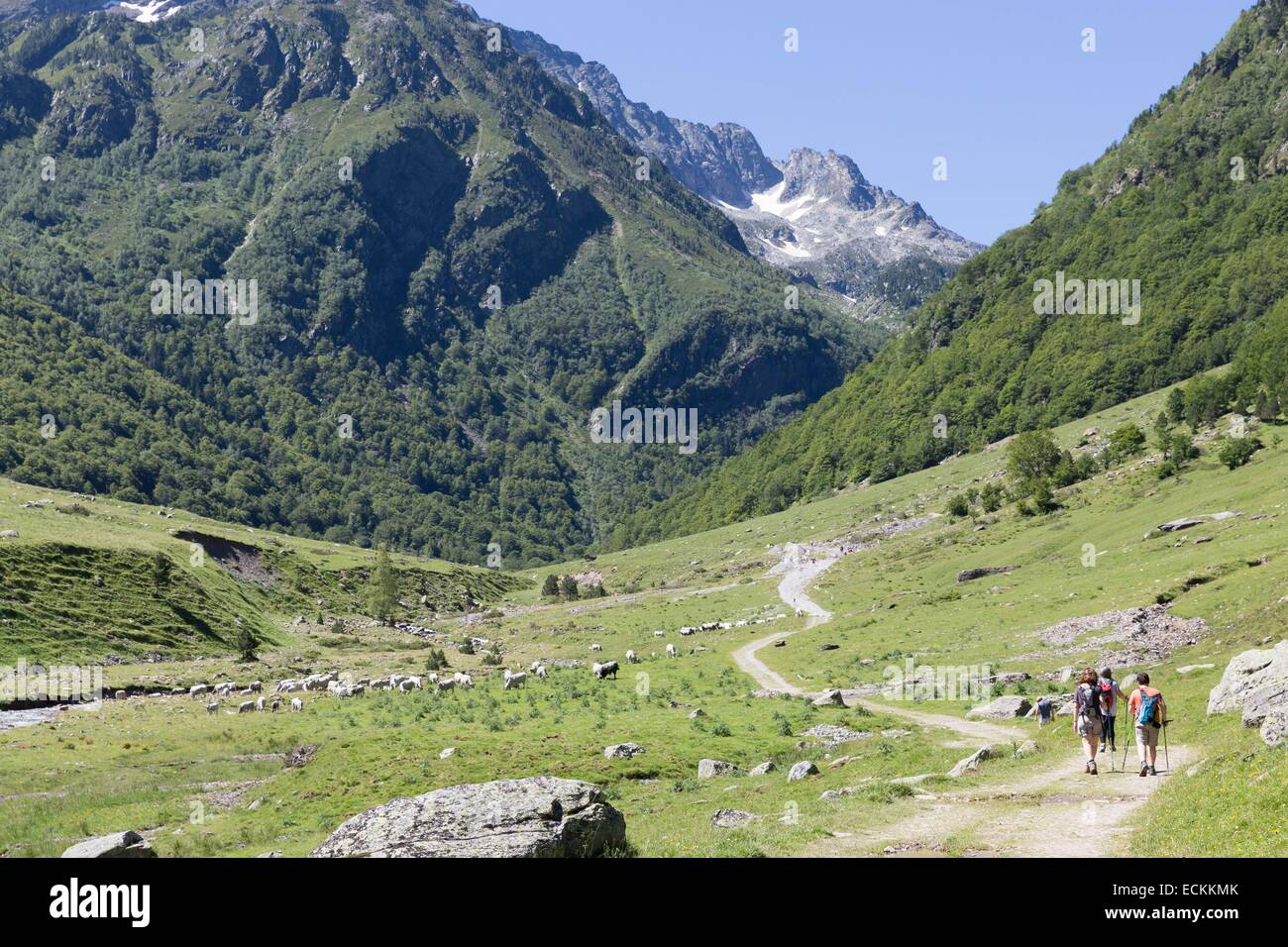 Orlu national reserve hi-res stock photography and images - Alamy