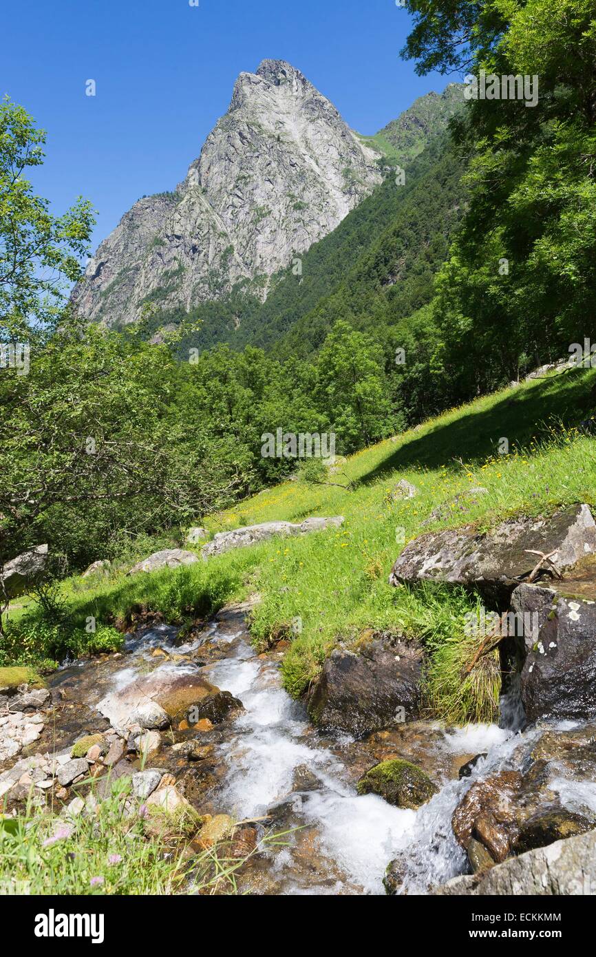 Orlu national reserve hi-res stock photography and images - Alamy