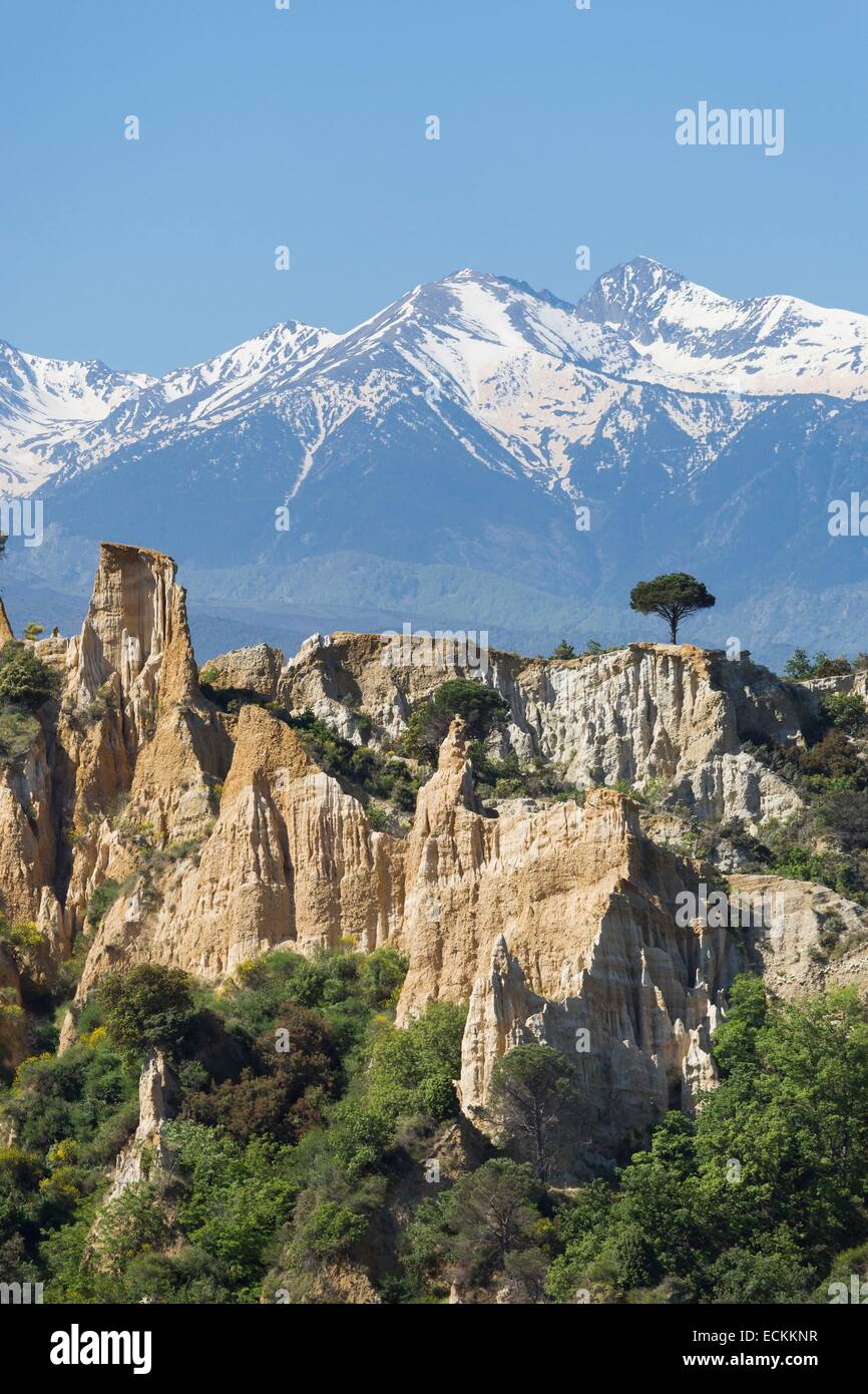 France, Pyrenees Orientales, Ille sur Tet, the rocks formations les ...