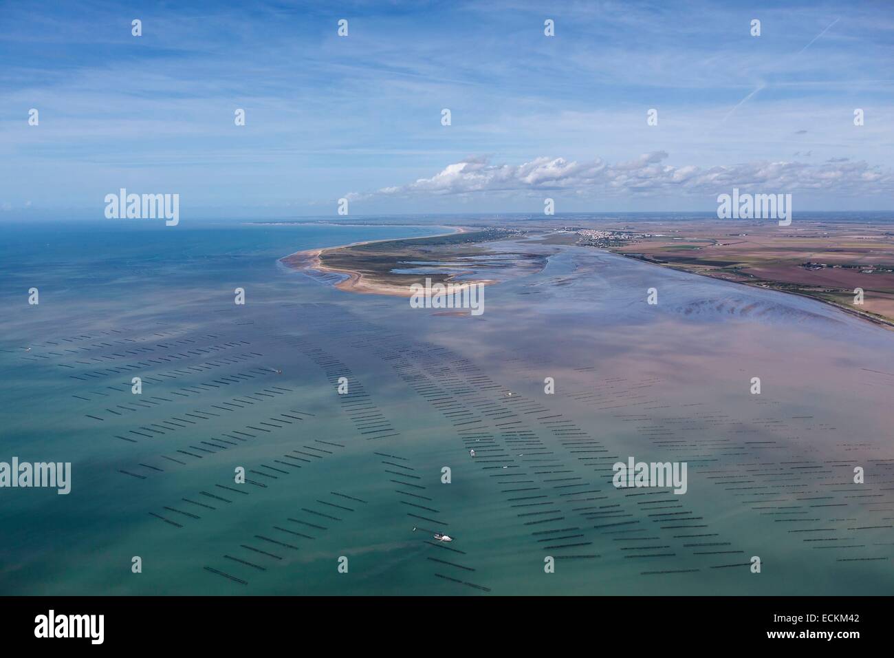 France, Vendee,La Faute sur Mer, boats in mussel poles field at the ...