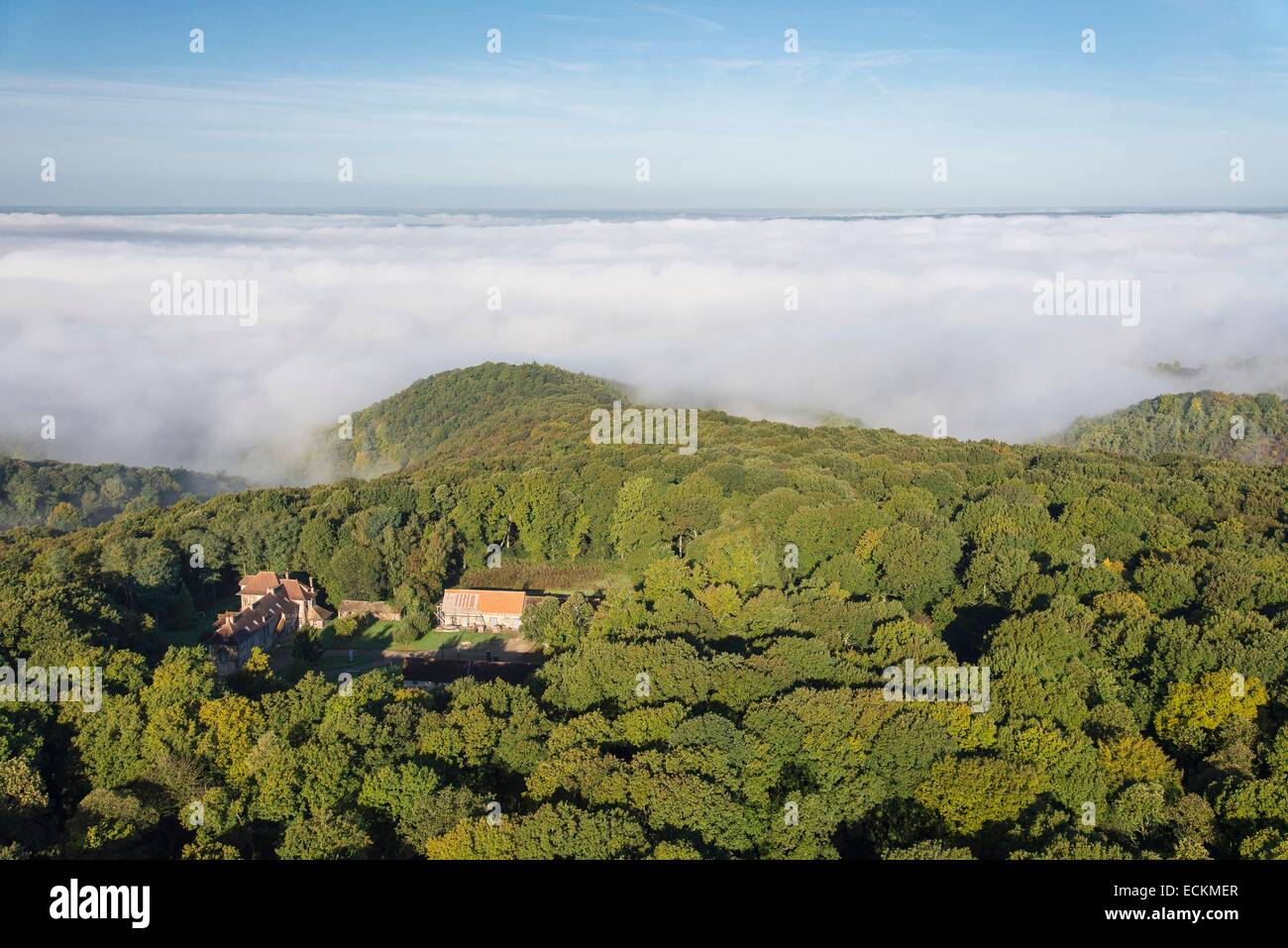 Le hallier hi-res stock photography and images - Alamy