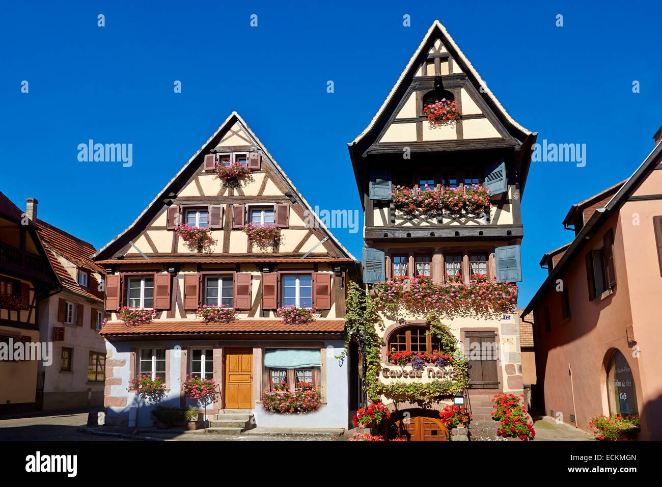France, Bas Rhin, Wine Route, Dambach town, facade of two houses ...