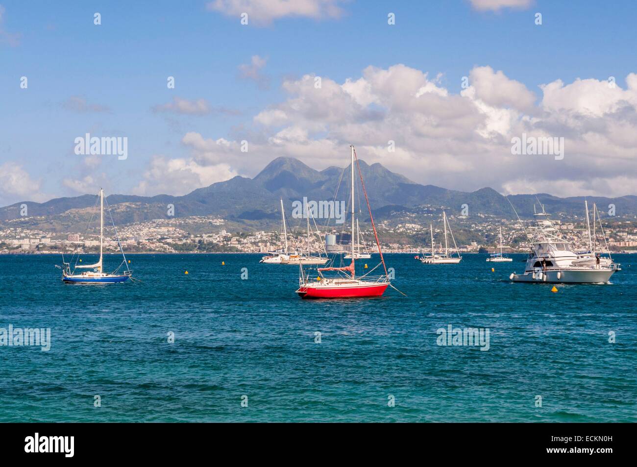 France, Martinique, Anse a l'ane beach Stock Photo - Alamy