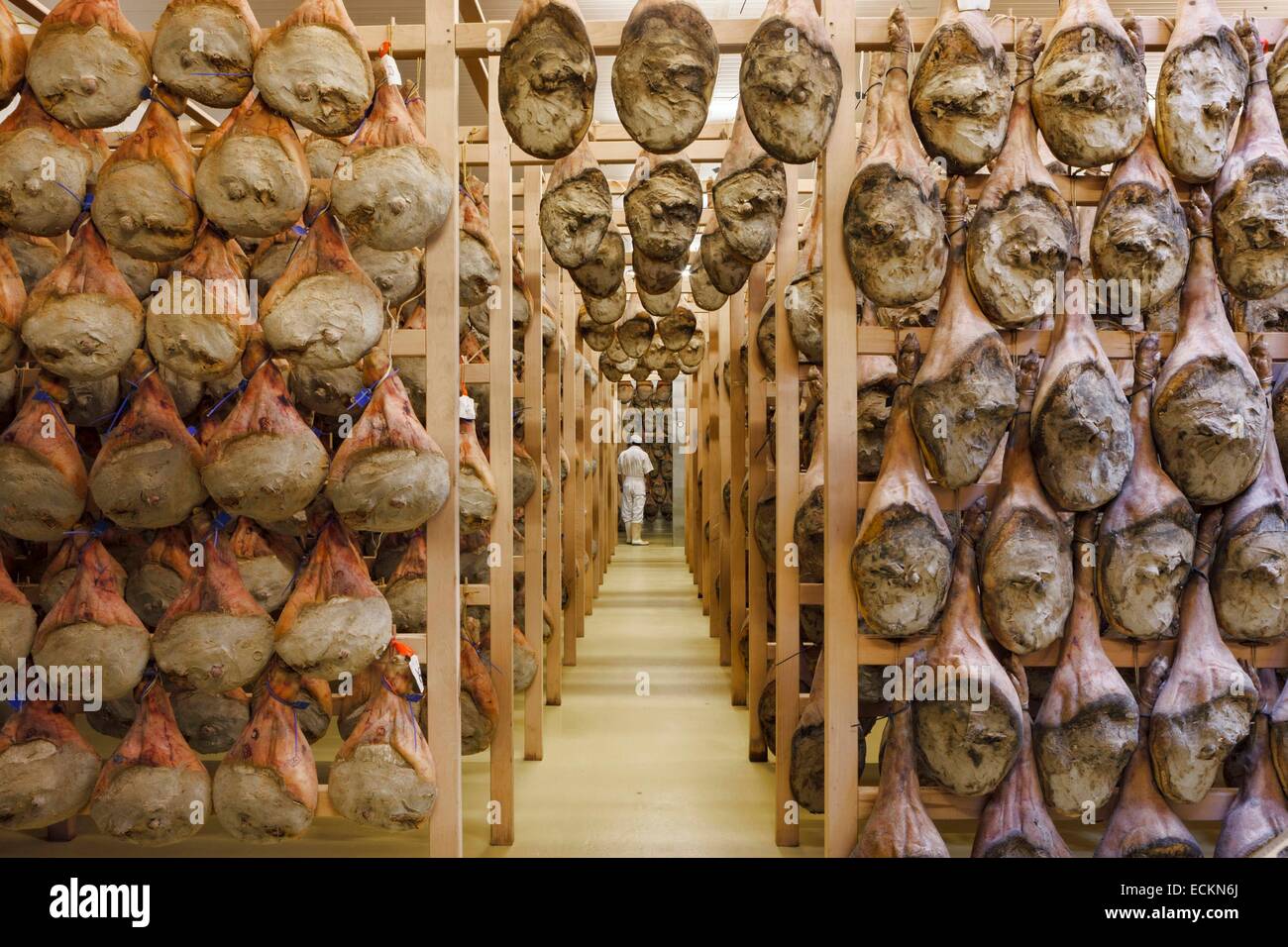 France, Pyrenees Atlantiques, Basque Country, inside a dryer Basque ham ...