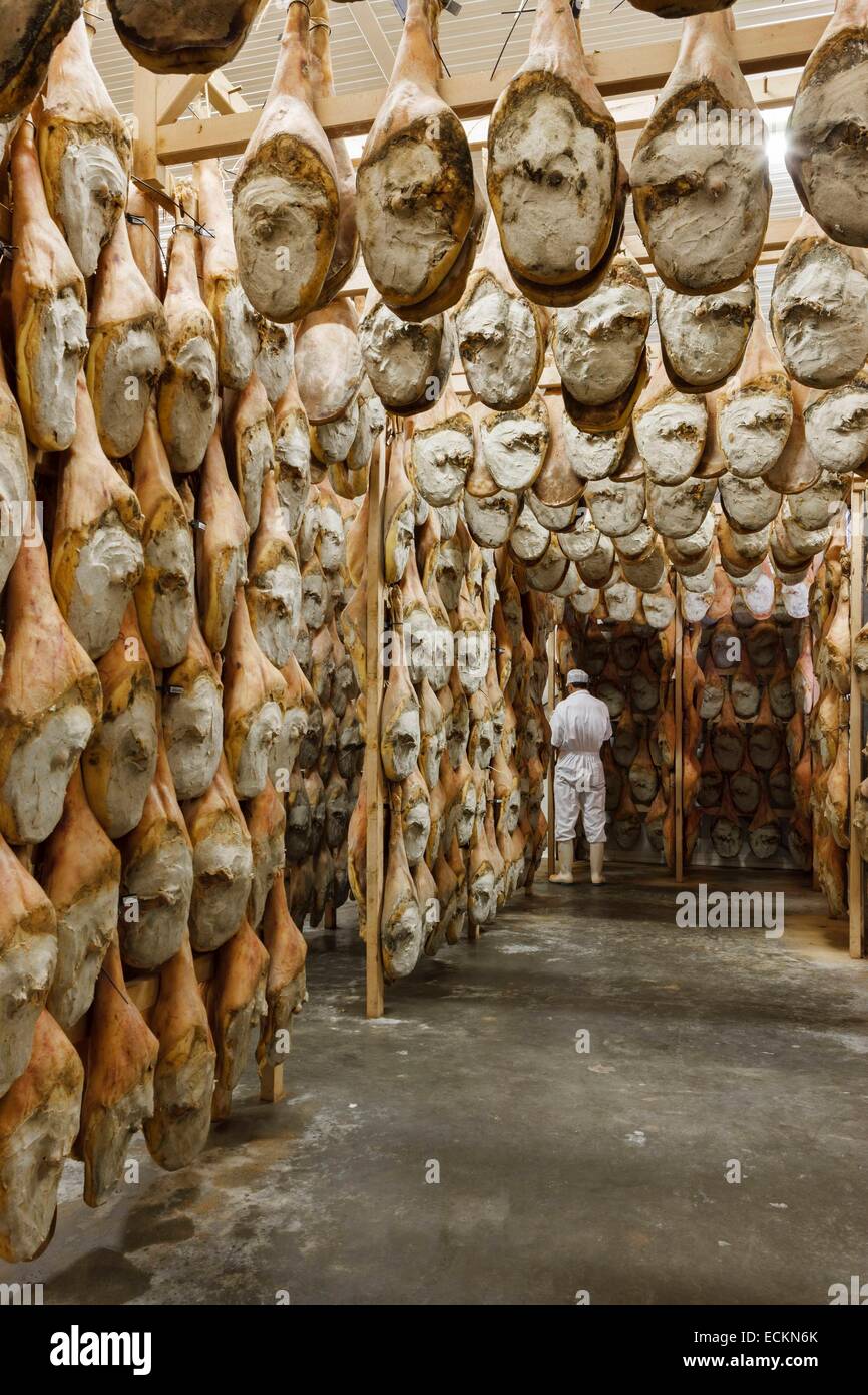 France, Pyrenees Atlantiques, Basque Country, inside a dryer Basque ham ...