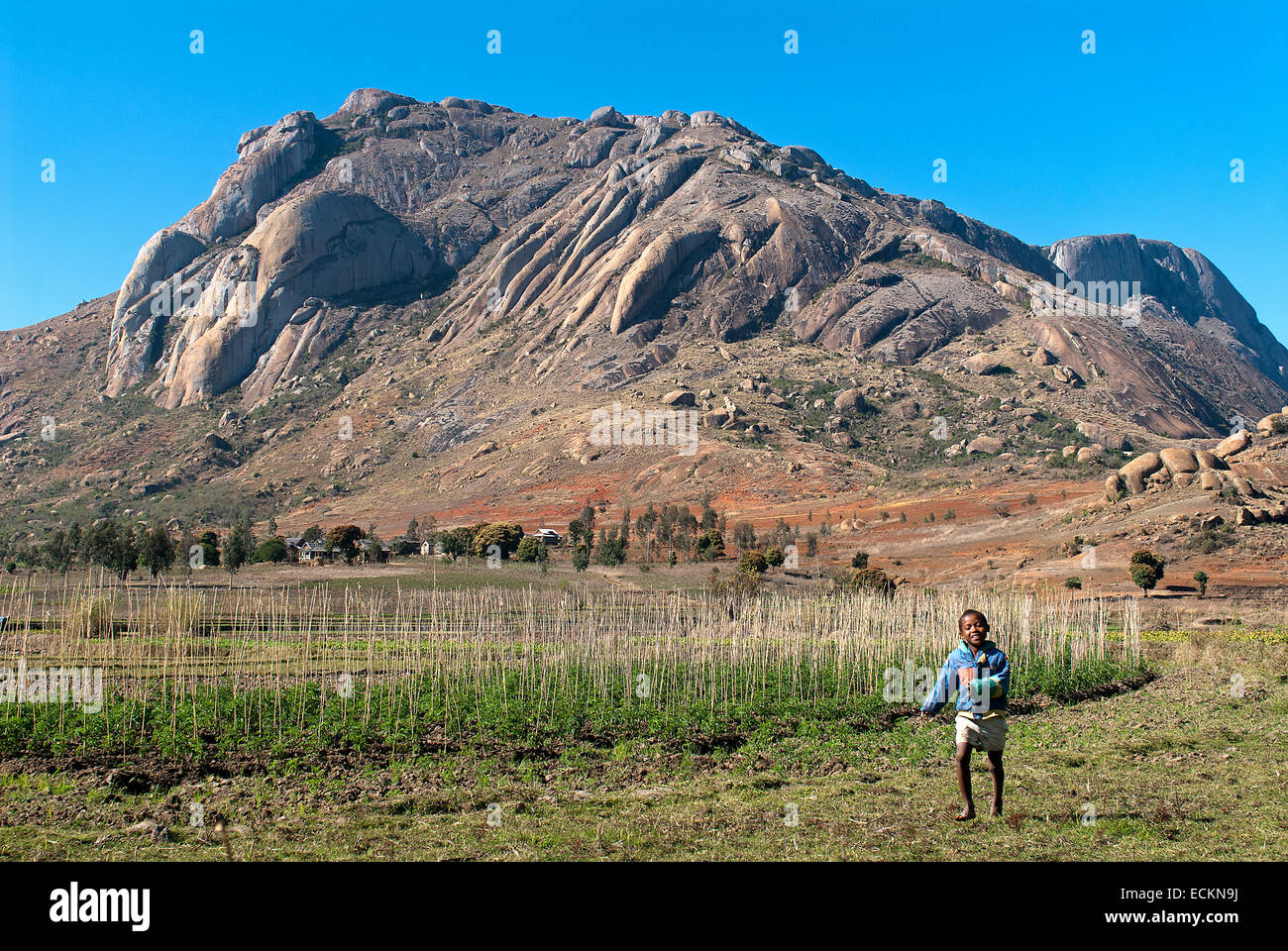 Happy Child skipping through fields in Madagascar Stock Photo - Alamy