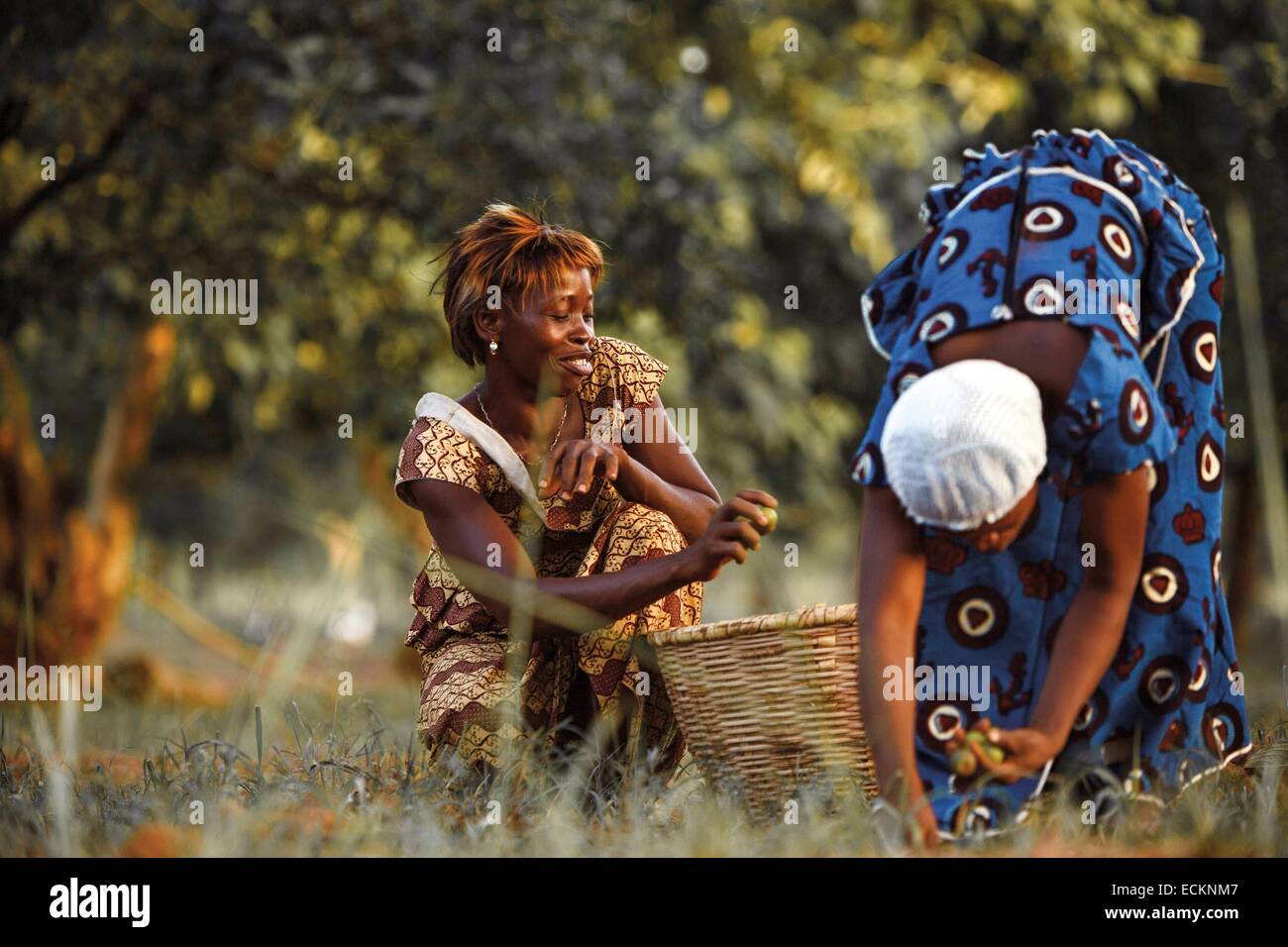 Burkina Faso, Bobo Dioulasso, Toussiana, women trying to achieve the ...