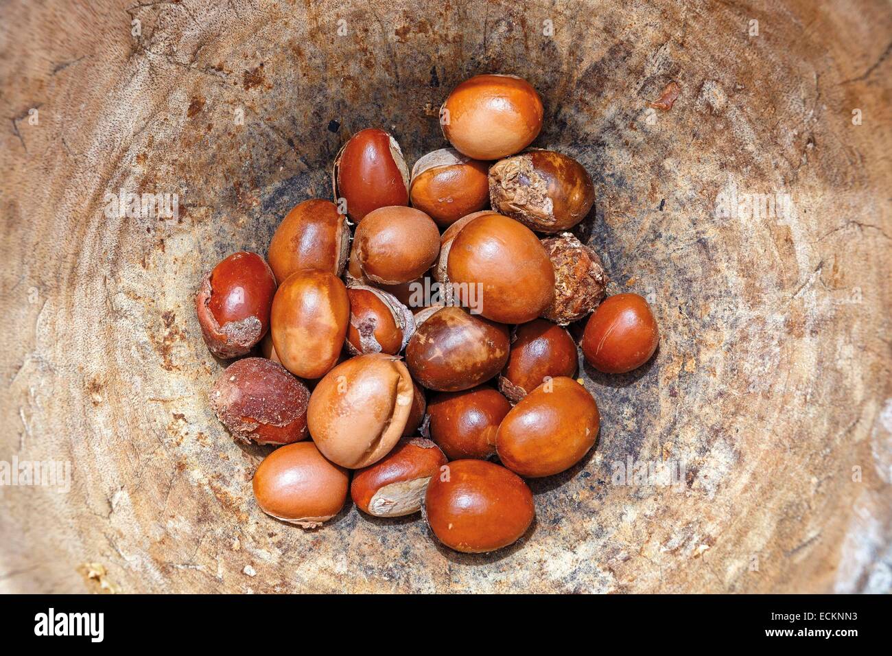 Shea nuts hi-res stock photography and images - Alamy