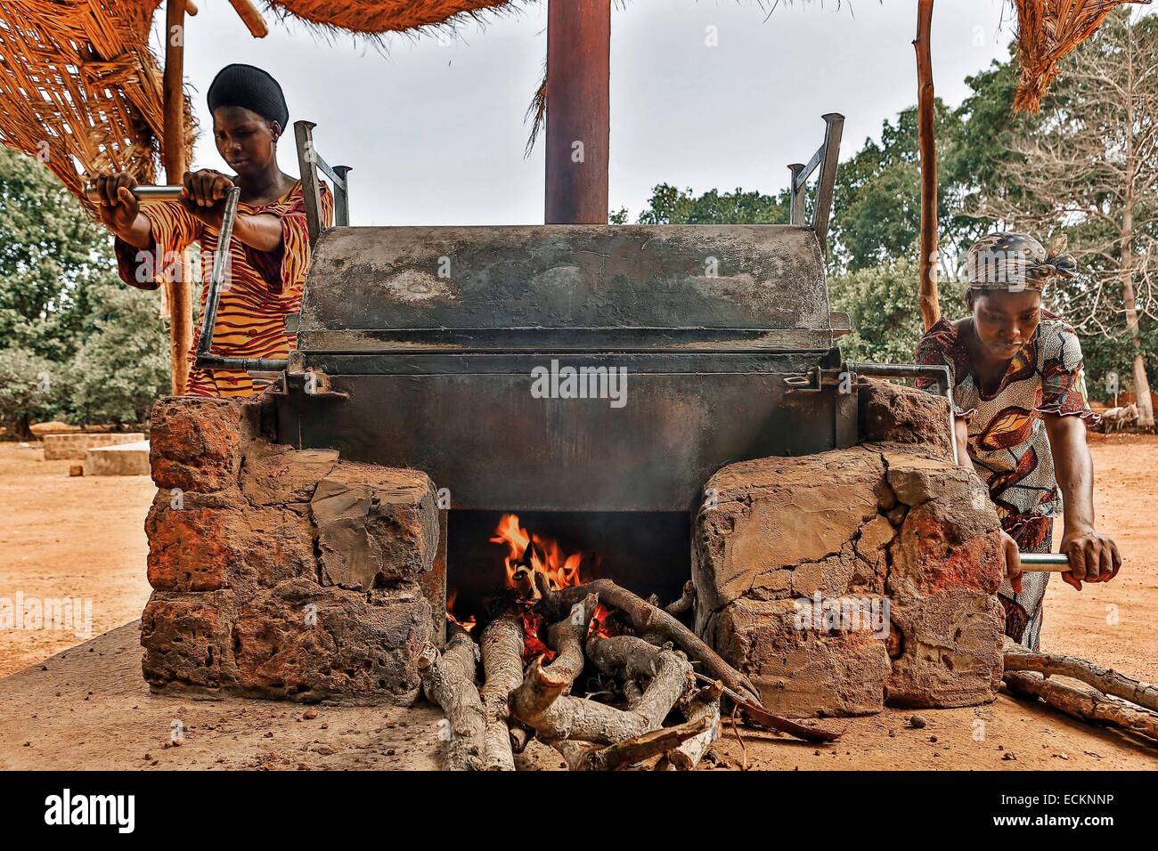 Burkina Faso, Bobo Dioulasso, Toussiana, stage of the development ...