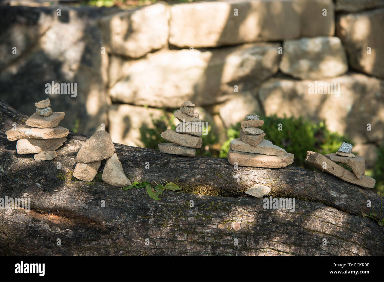 Stacked stones on a tree in a temple Stock Photo - Alamy