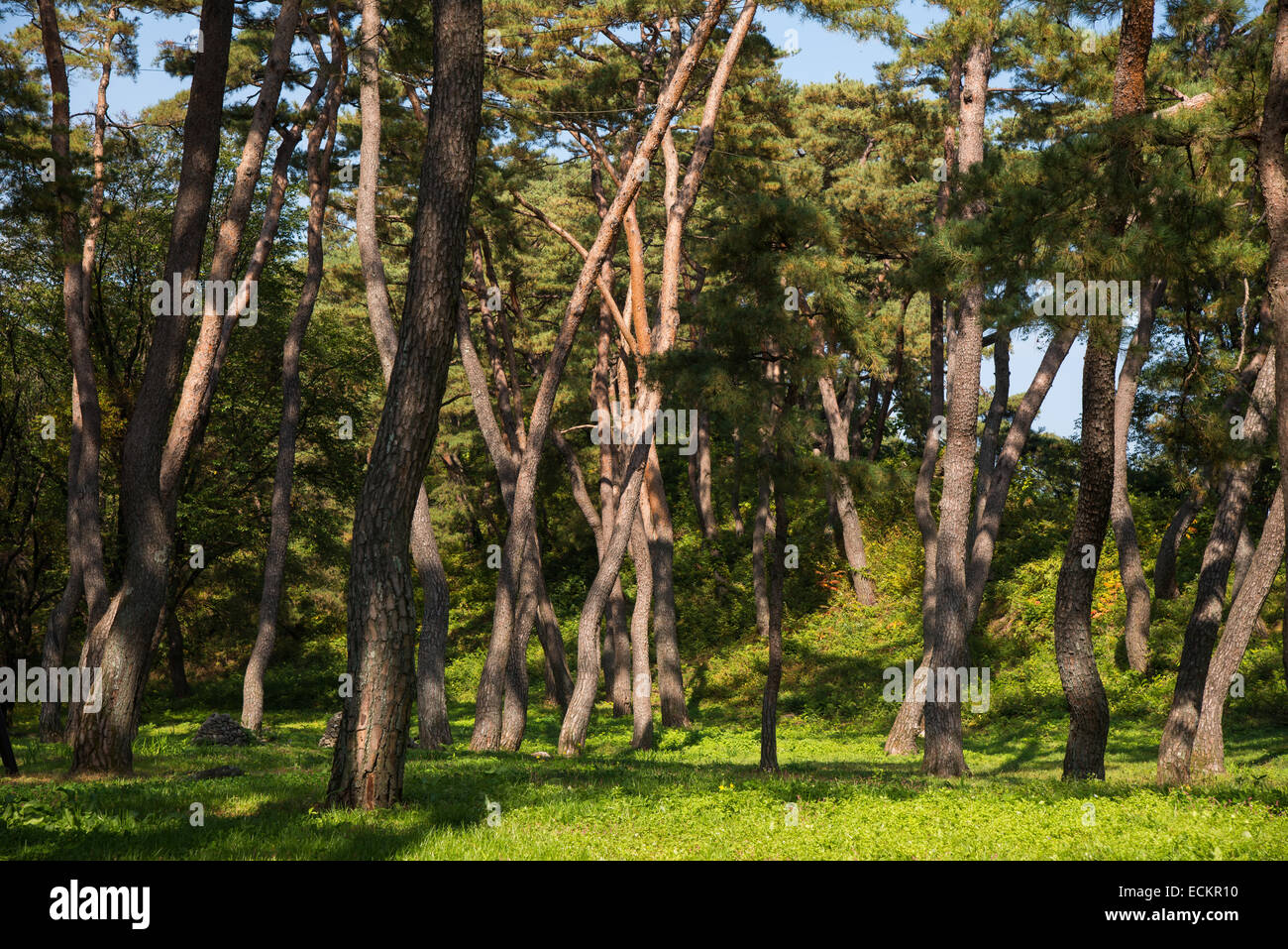 Warm in nature hi-res stock photography and images - Alamy