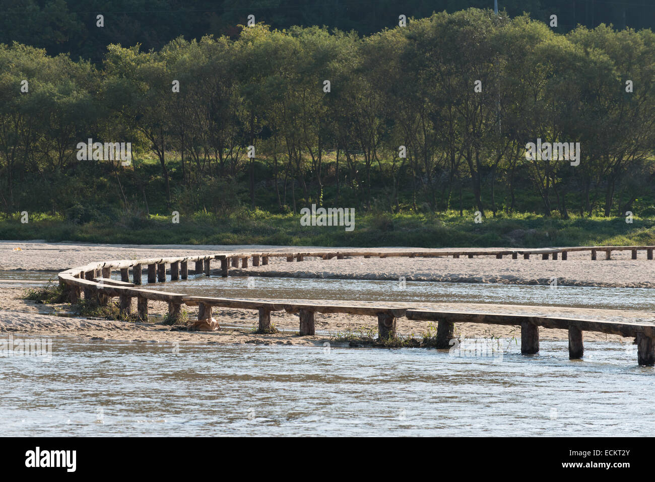 single lane log bridge over a shallow river in Museom village, Yeongju ...