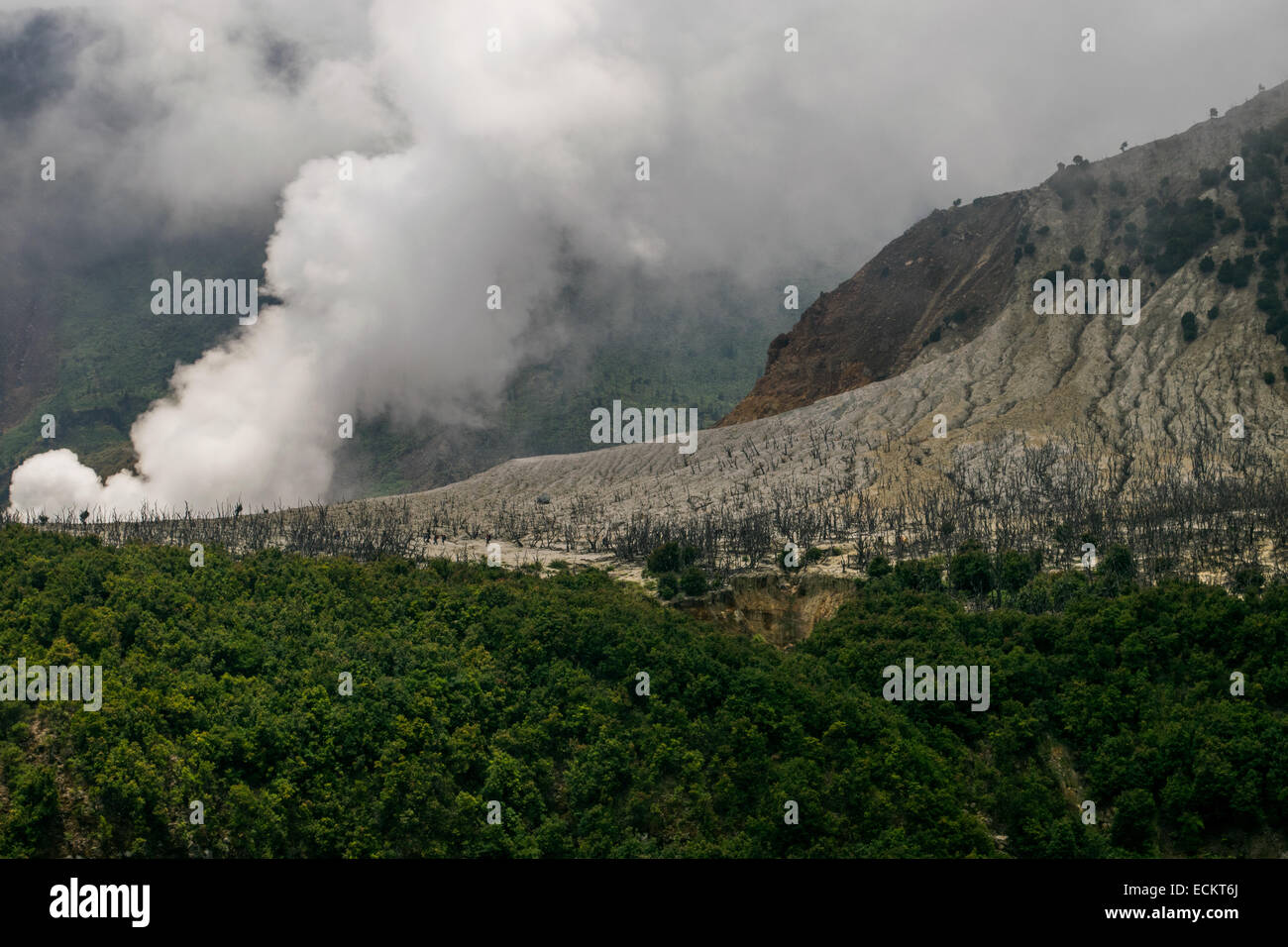 The crater and partially dead forest of Mount Papandayan seen from ...