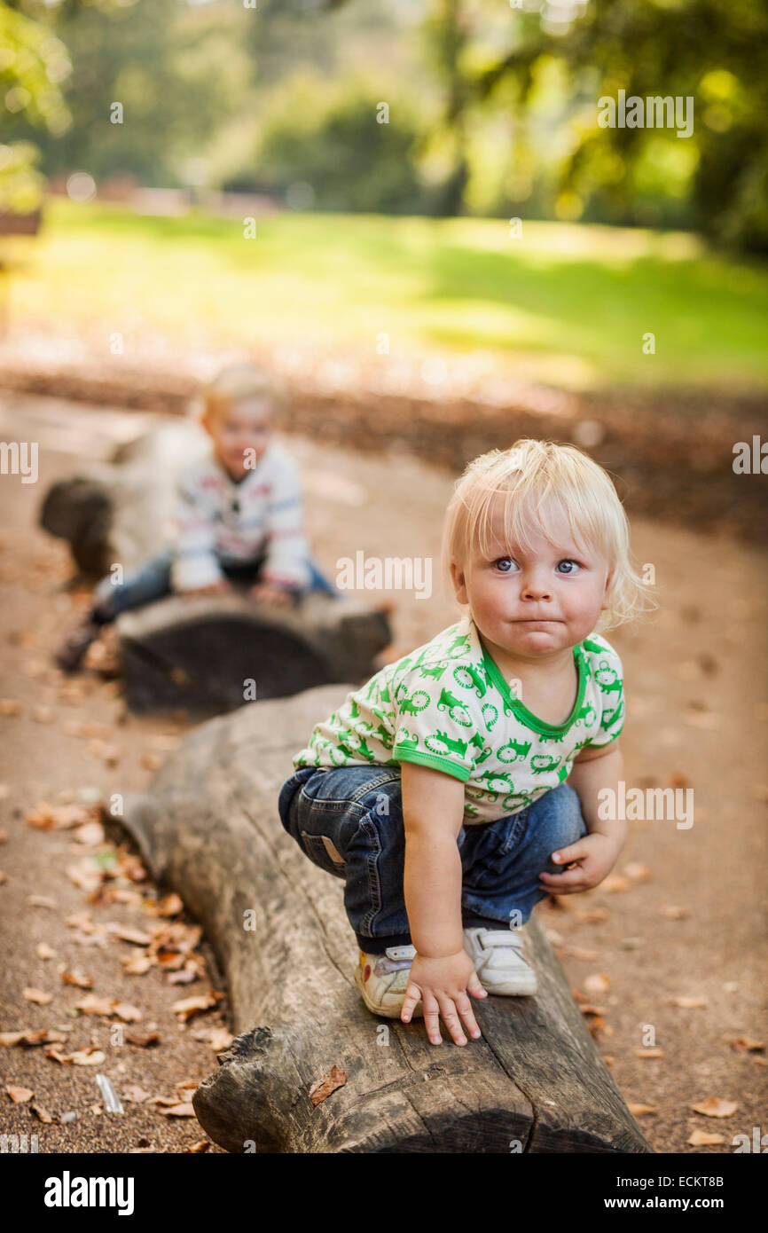Wooden Log High Resolution Stock Photography and Images - Alamy