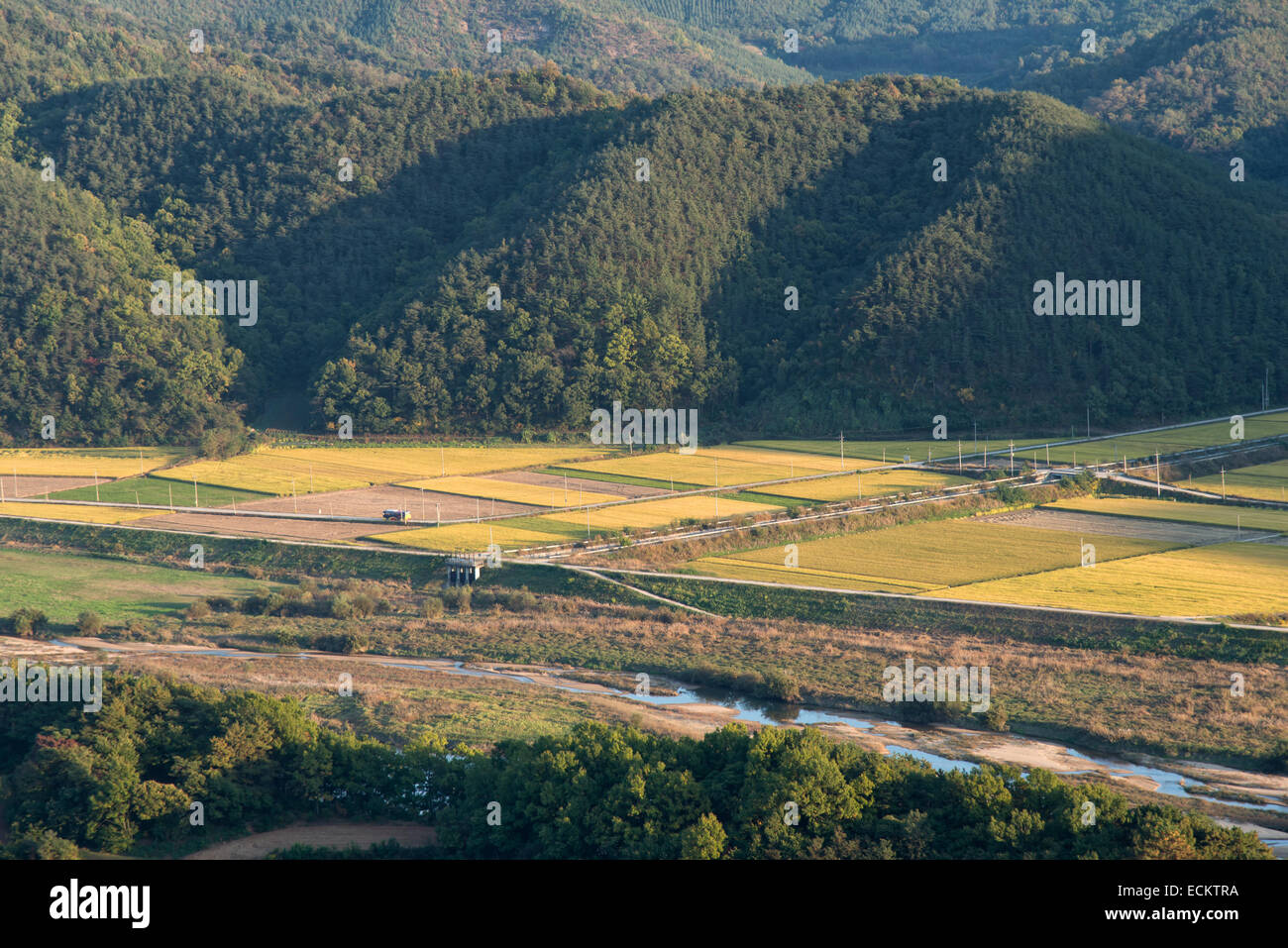view of general korean countryside with rice farm in fall Stock Photo ...