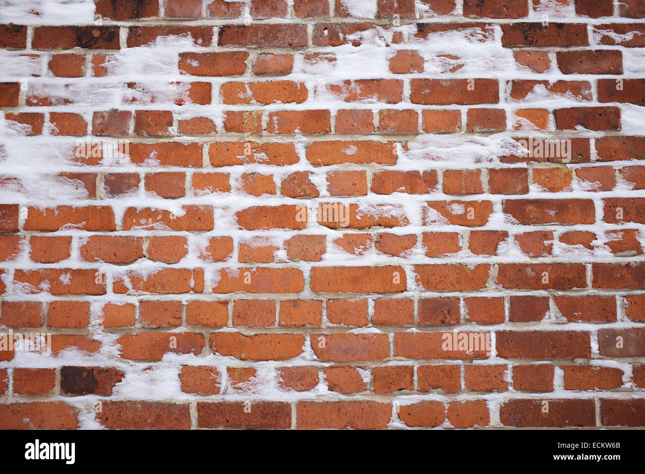 Rustic red brick background with fresh winter snow in the crevices ...