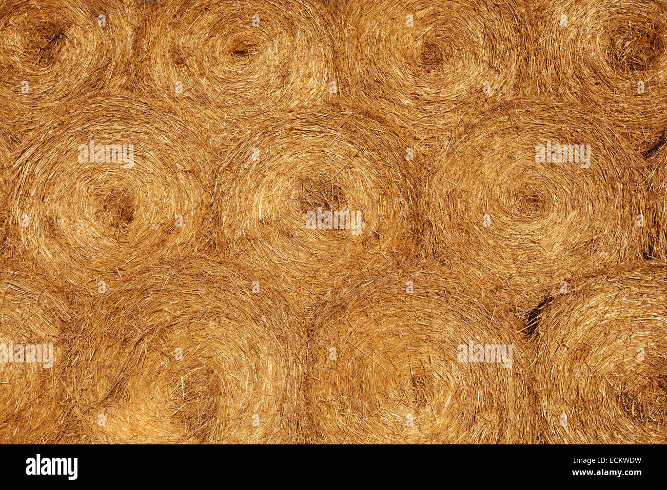 Several round straw bales stacked in rows Stock Photo - Alamy