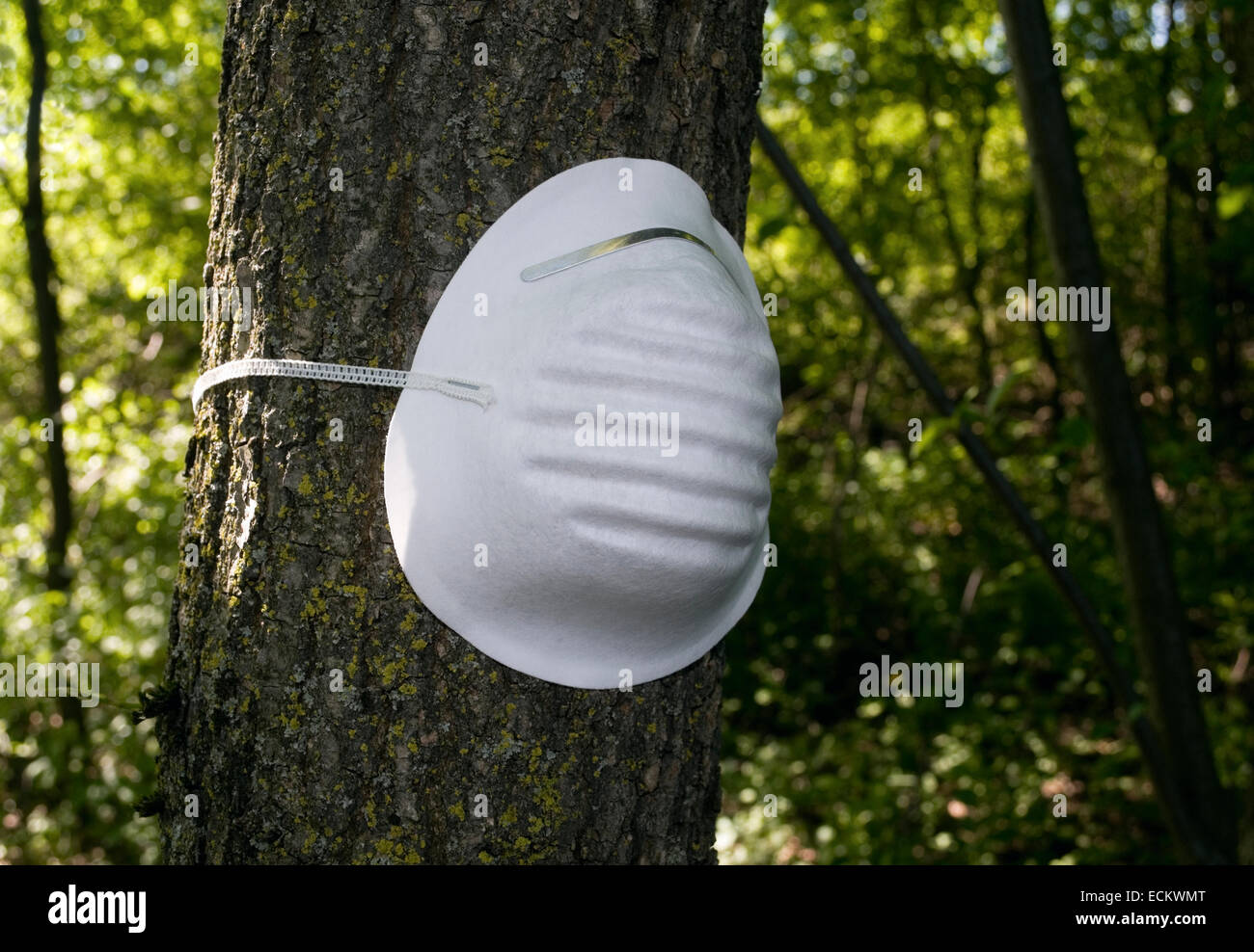 Trunk protection hi-res stock photography and images - Alamy