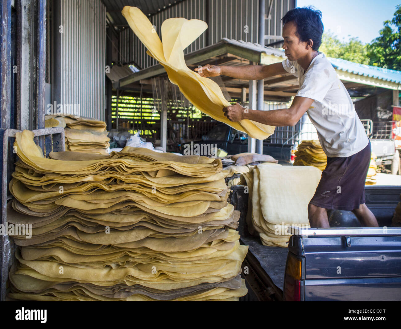 Chum Saeng, Rayong, Thailand. 15th Dec, 2014. A farmer unloads rubber ...