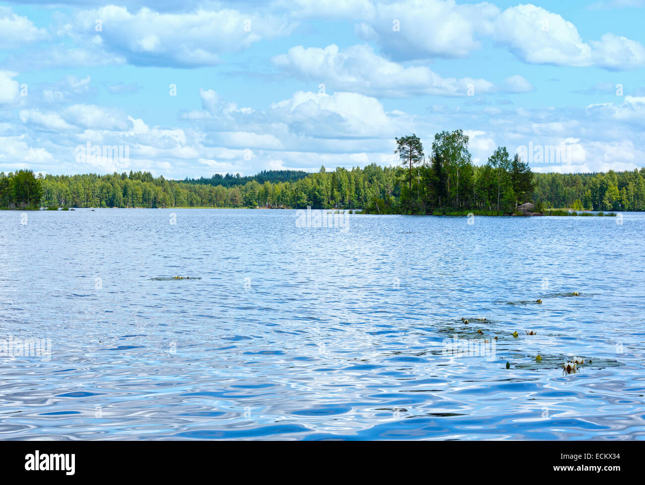 Lake Rutajarvi summer view with forest on the edge (Urjala, Finland ...
