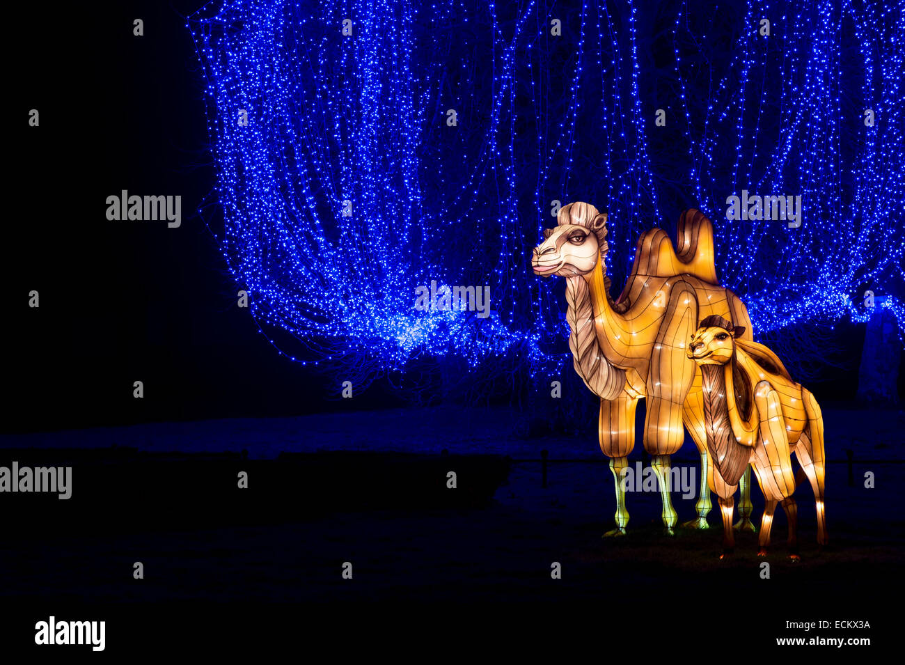 Christmas festival of light longleat hi-res stock photography and ...