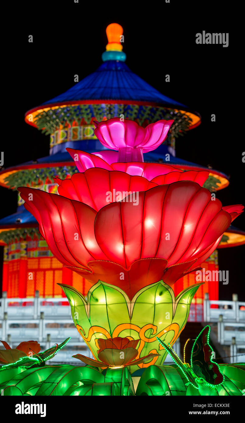 Lotus flower and butterfly hi-res stock photography and images - Alamy